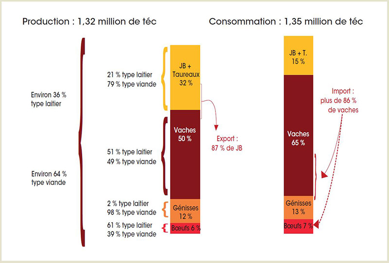 Le cheptel bovin et la production de viande bovine | Economie & Métiers | La-viande.fr